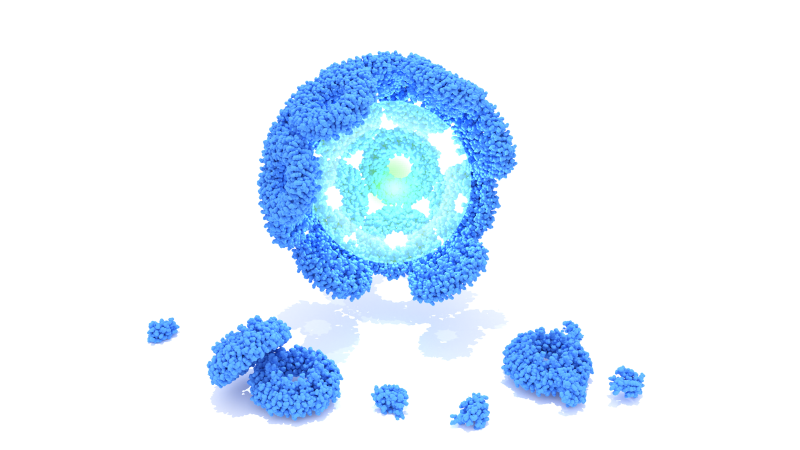 Artificial Protein - Heddle Lab