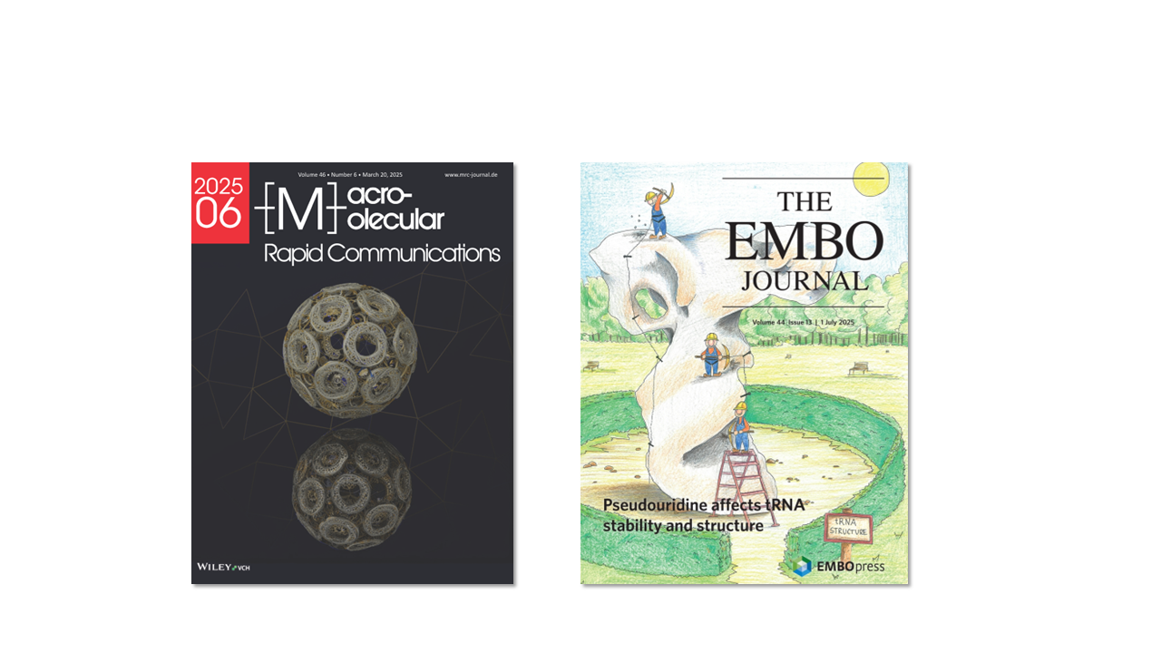 Journal Covers - Heddle Lab